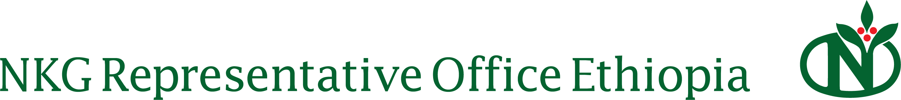 Contact – NKG Representative Office Ethiopia