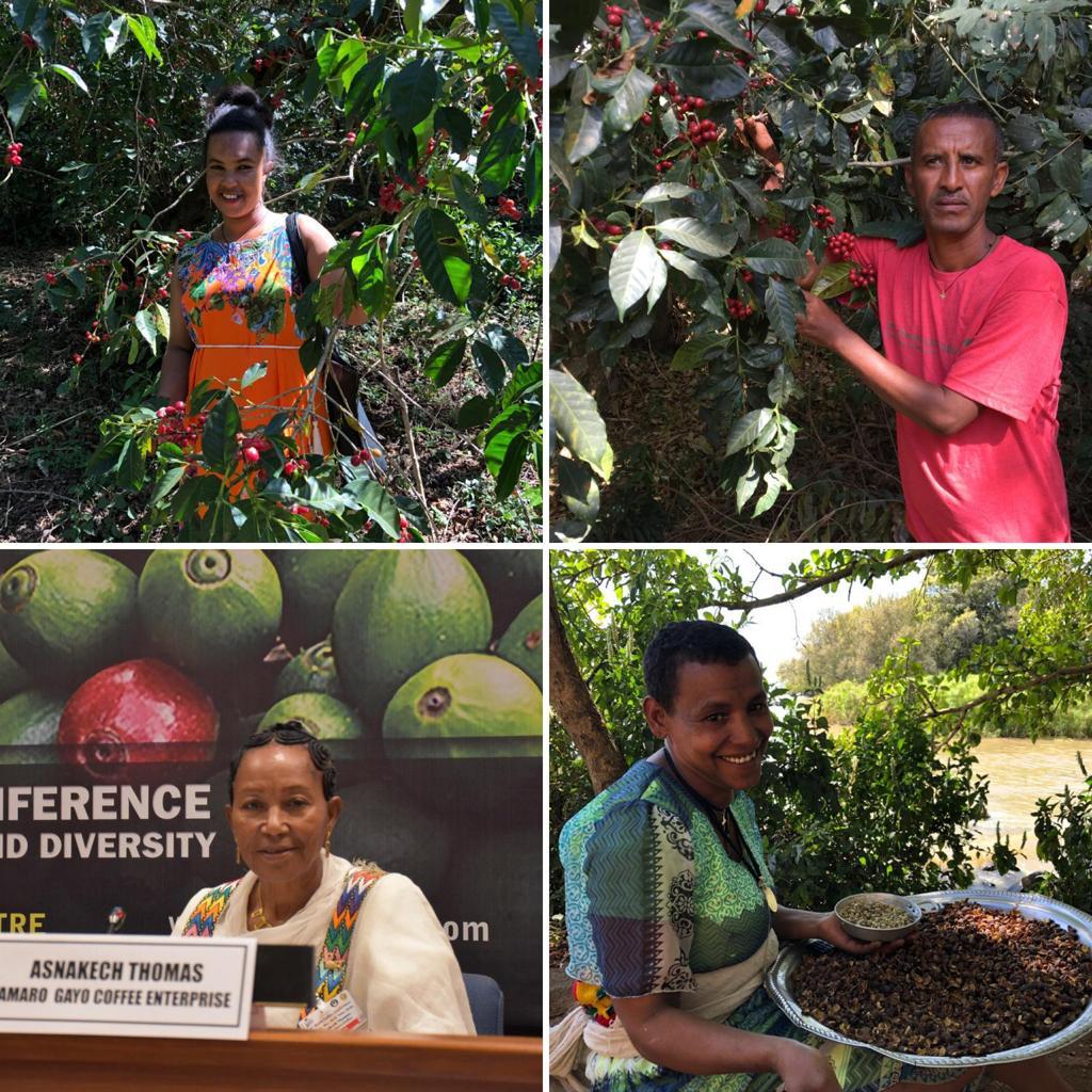 NKG Representative Office Ethiopia